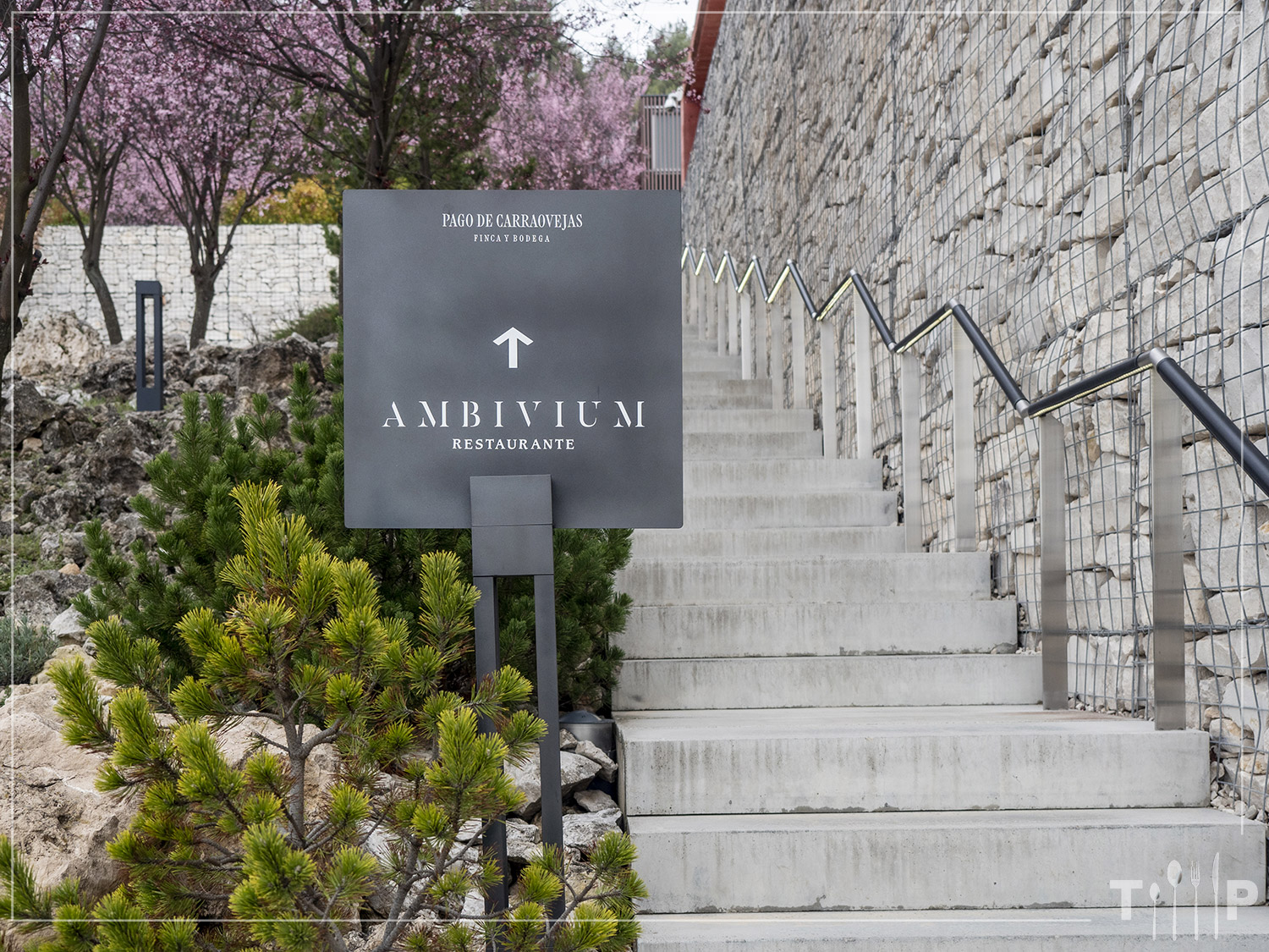 Ambivium y Pago de Carraovejas son Peñafiel - Tragaldabas Profesionales